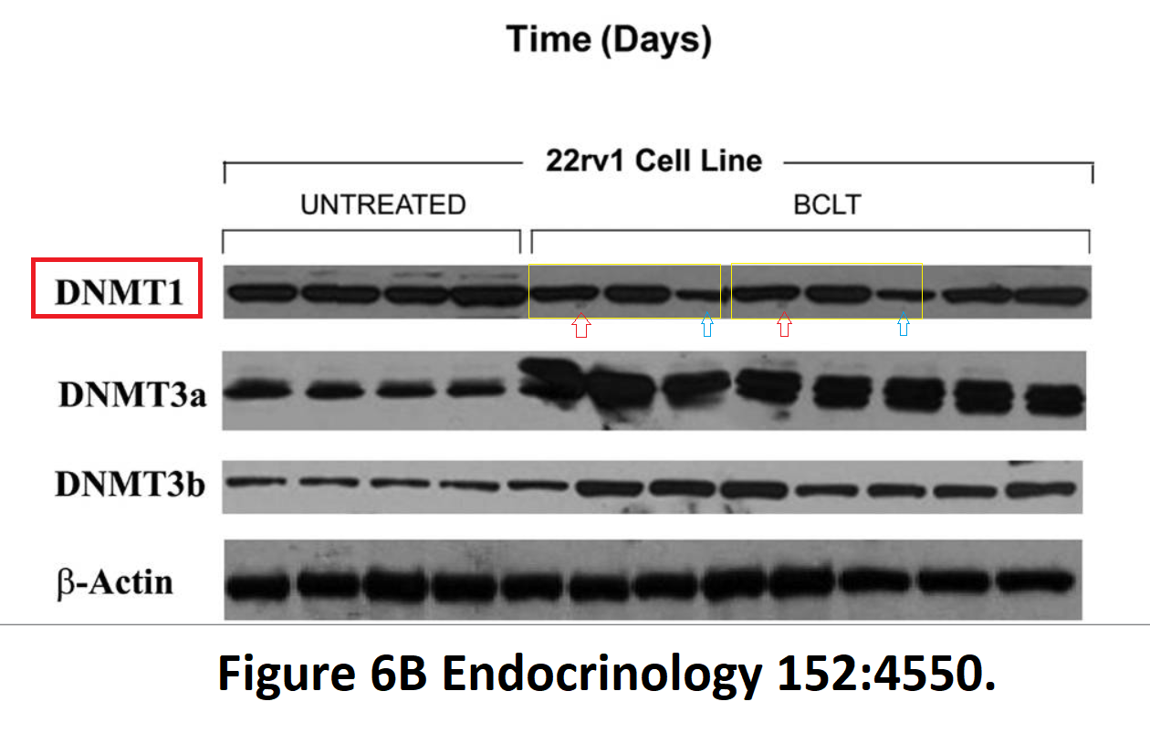 The Pestilence of Pestell – For Better Science