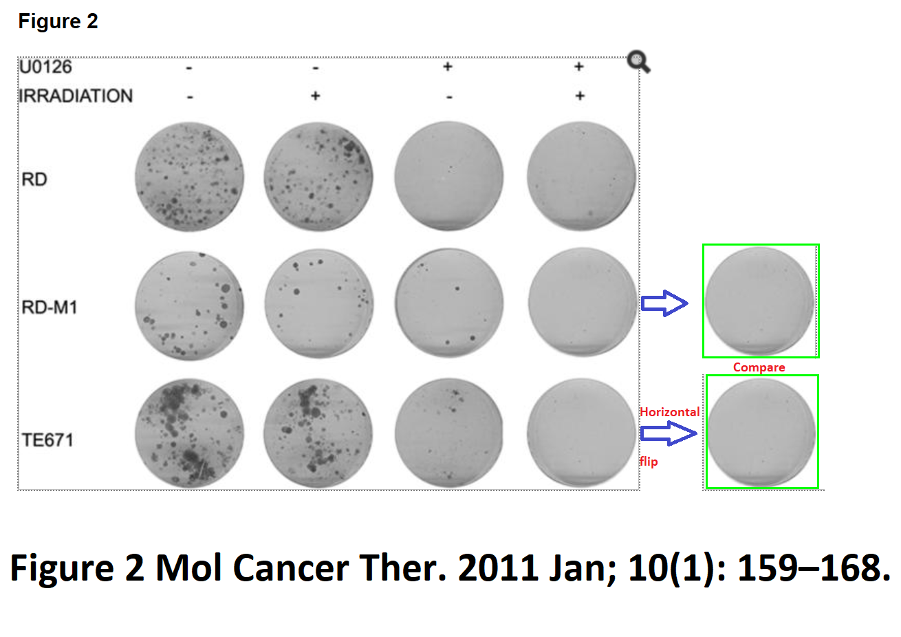 The Pestilence of Pestell – For Better Science