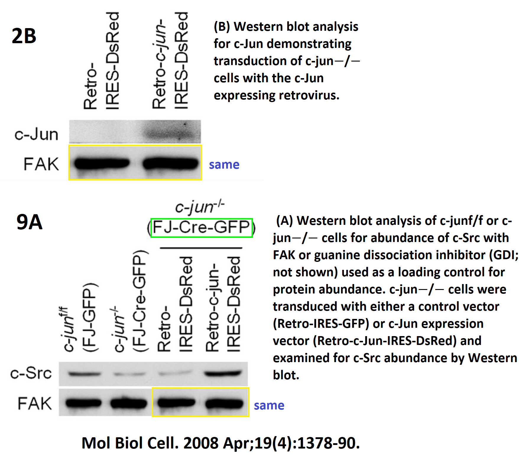 The Pestilence of Pestell – For Better Science
