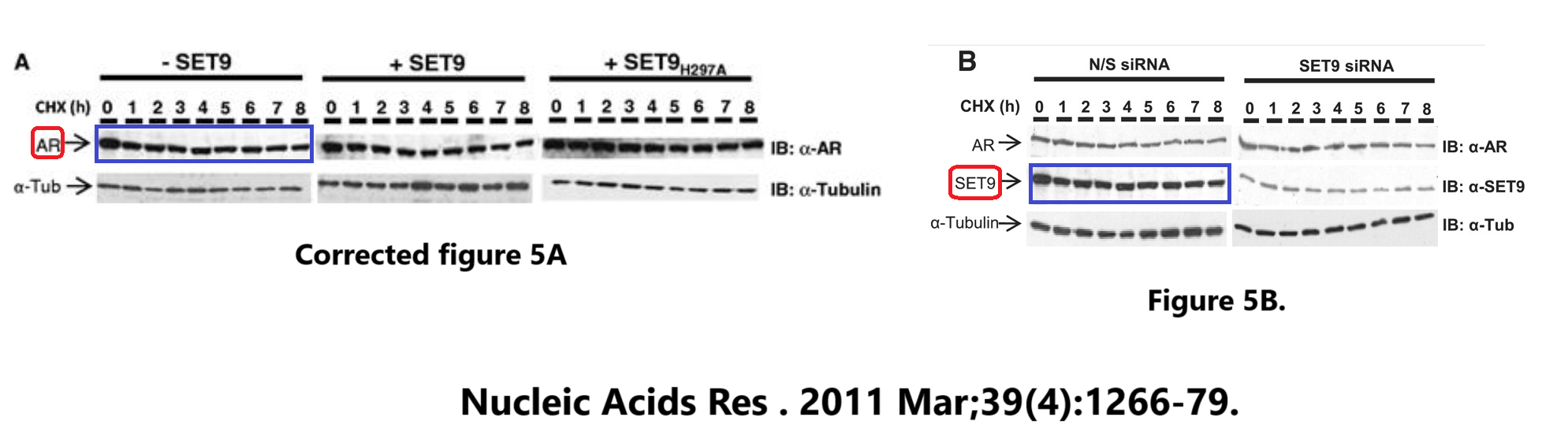 The Pestilence of Pestell – For Better Science