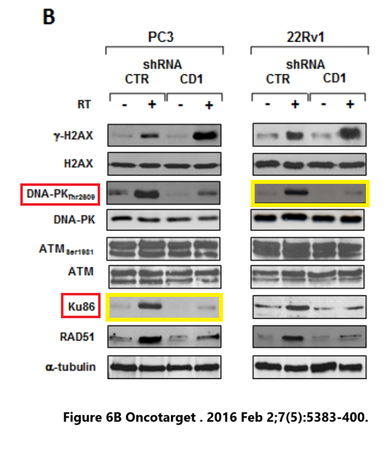 The Pestilence of Pestell – For Better Science