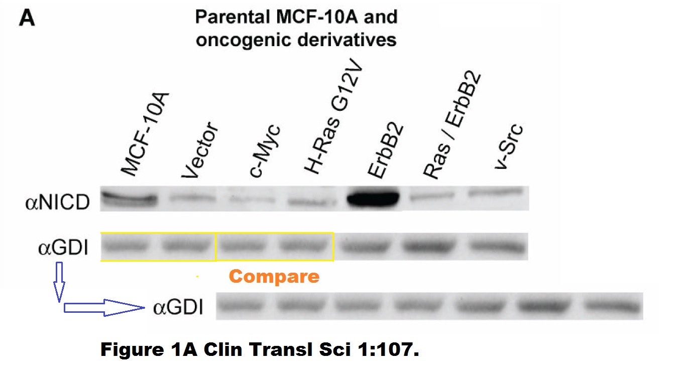 The Pestilence of Pestell – For Better Science
